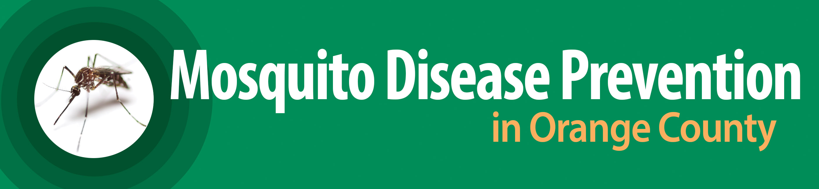 Mosquito Safety